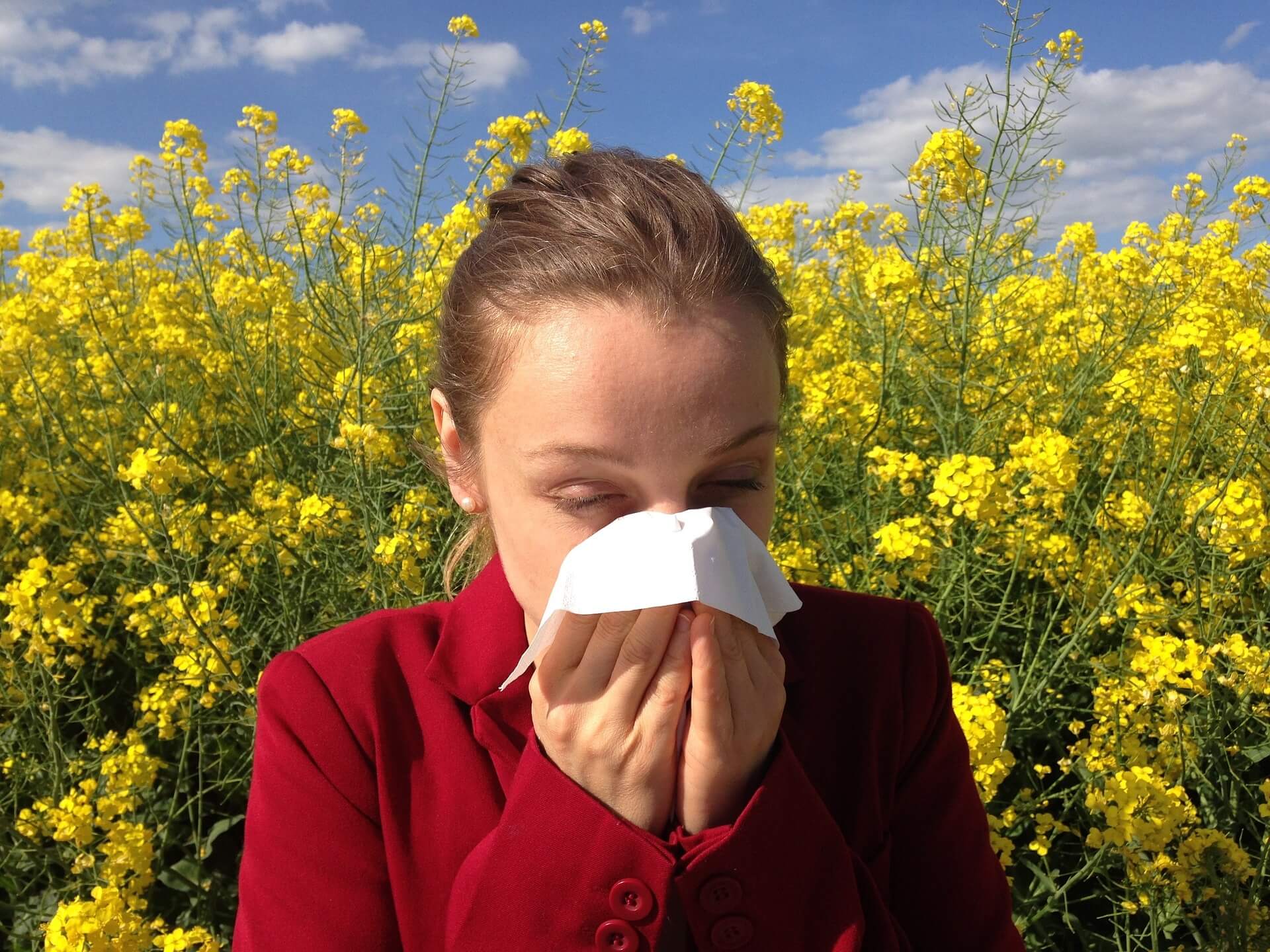 The Link Between Allergies and Hearing Health - Happy Ears Hearing Center